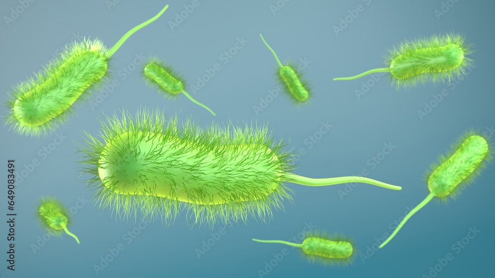 bacteria bacillus 3d illustration render. prokaryote microorganism with ...
