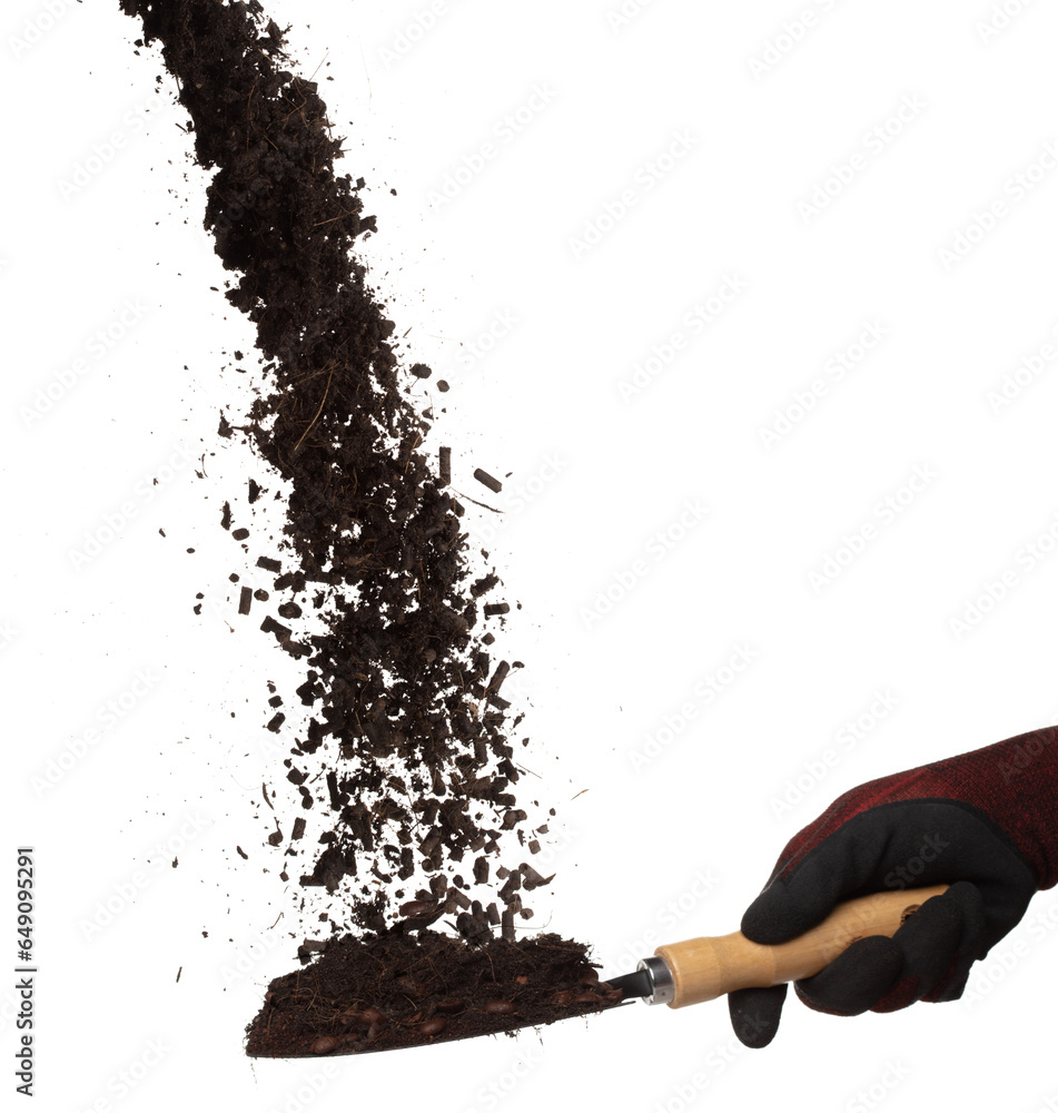 Fertilizer Coffee bean seed powder mixed soil fly fall in shovel ...