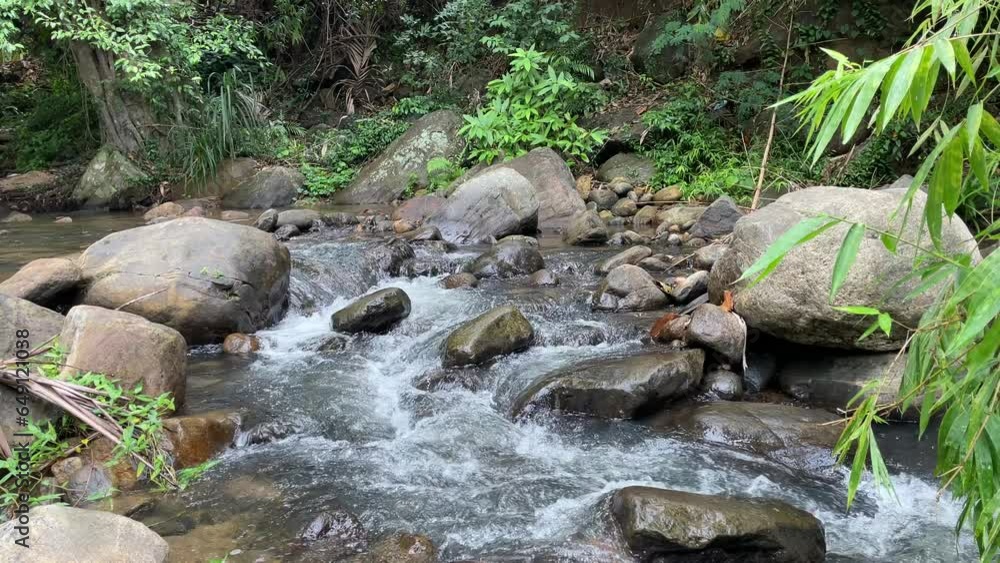 Experience the dynamic energy of a swiftly flowing stream as it ...