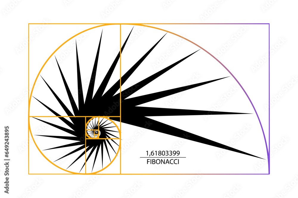 Fibonacci number sequence. Golden ratio. Geometric shapes spiral. Snail ...