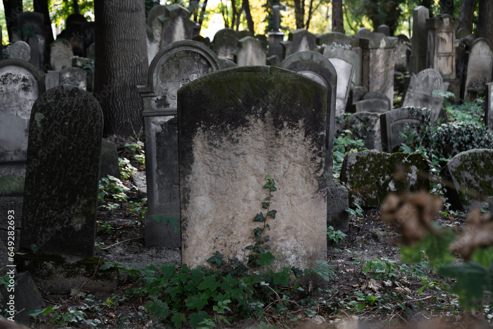 Old cemetery with many weathered, gray stone tombstones. Aged tombstone ...