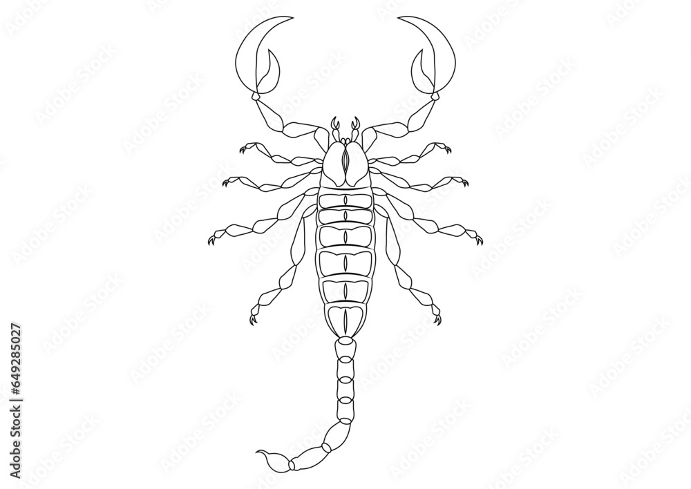 Black and White Scorpion Clipart Vector isolated on White Background ...