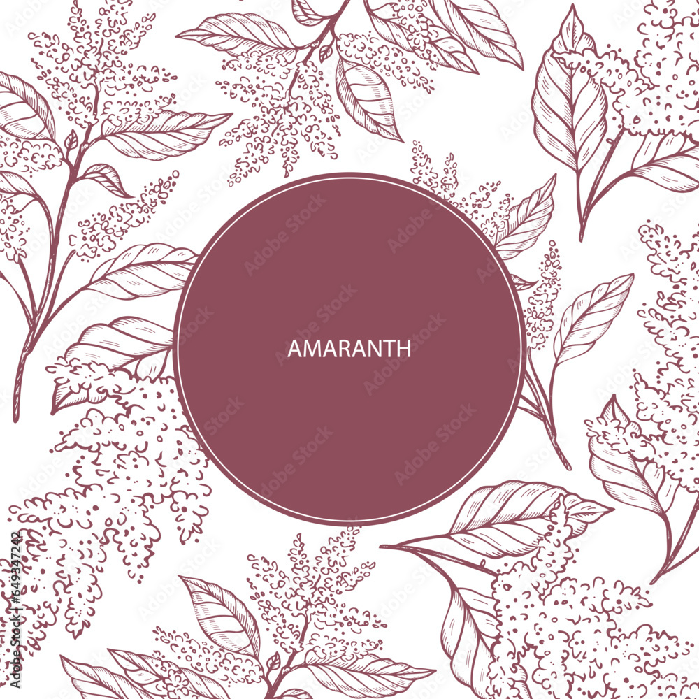 Amaranth label template background for text. Flower and branch of ...