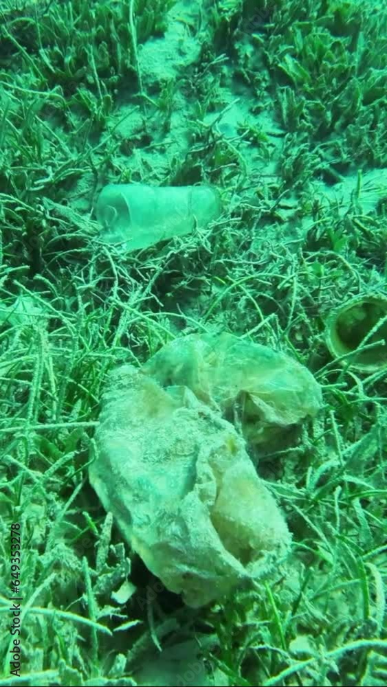 Vertical video, Plastic cups, bottles and bags lie on Round Leaf Sea ...
