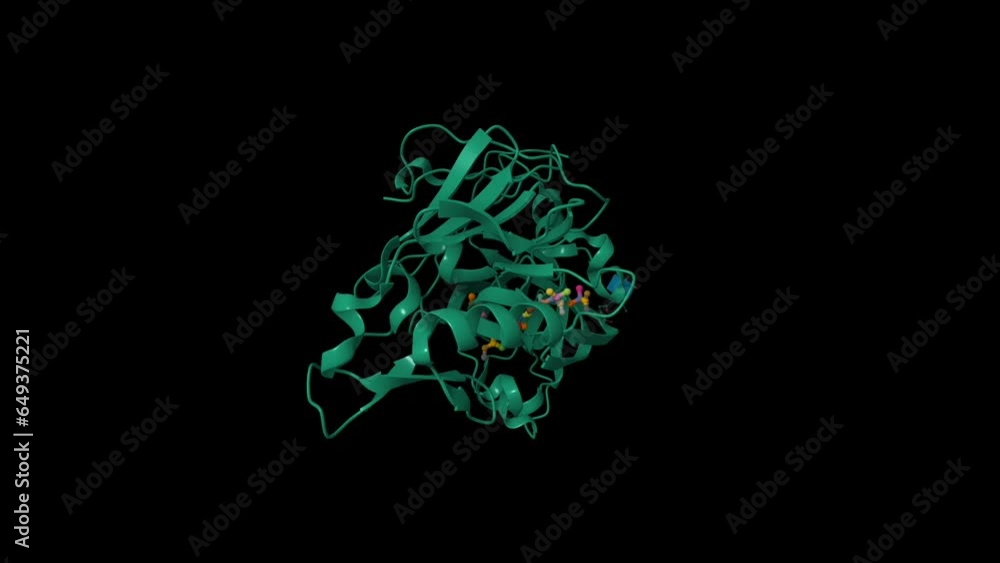 Crystal structure of renin with inhibitor aliskiren. Animated 3D ...