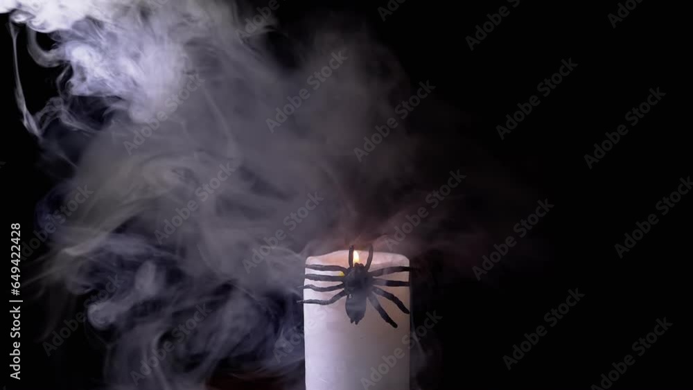 Large Black Spider Sitting on a Wax Candle in Thick Smoke on a Black ...