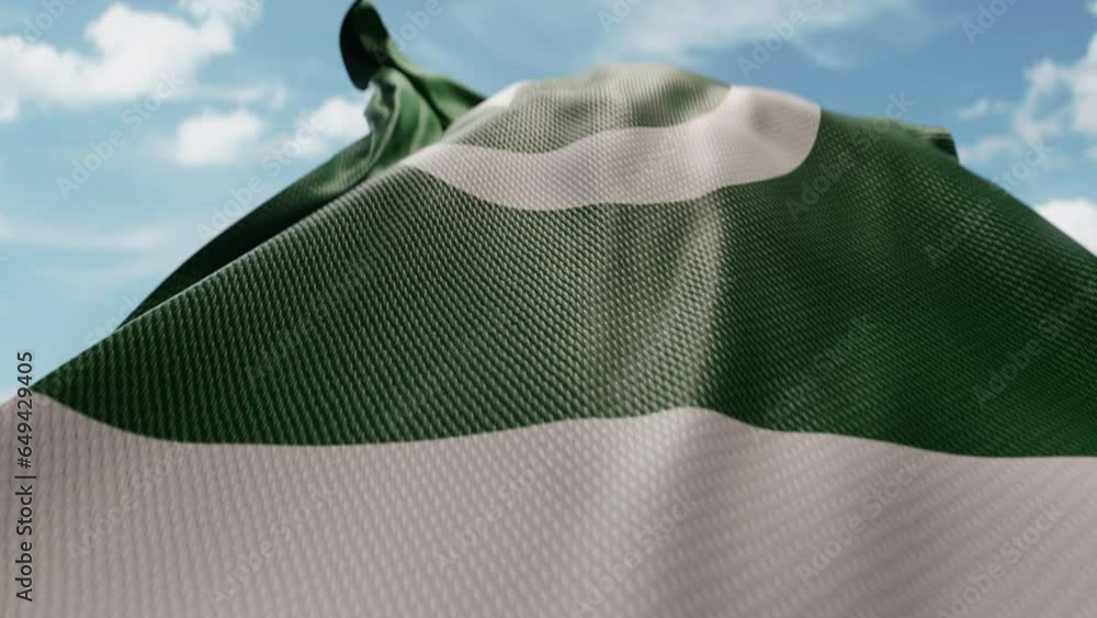 Wavy flag of Pakistan blowing in the wind in slow motion. Waving ...