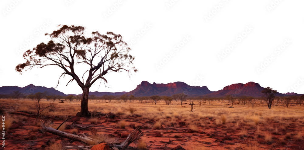 Outback sunset landscape. Australia outback plains. Transparent PNG ...