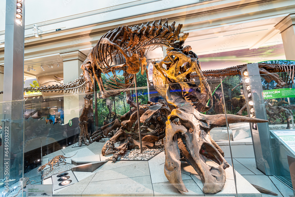 Washington DC, April 8 2023 - Tyrannosaurus fossil exhibit in ...