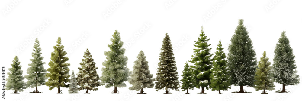 Different kinds of trees of various sizes on transparent background PNG ...