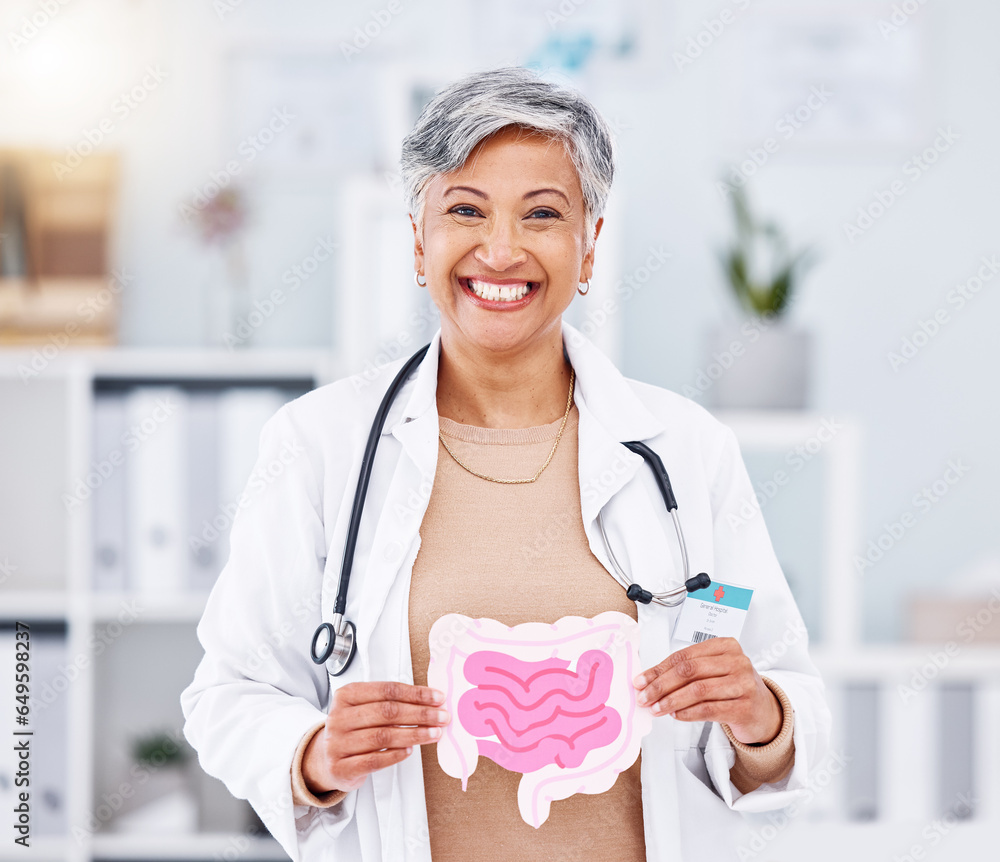 Portrait, doctor and mature woman with intestine model in hospital ...