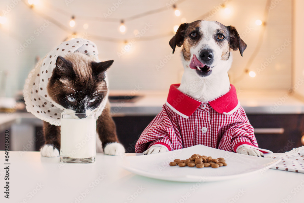 Dag and cat have dinner at home Stock Photo | Adobe Stock