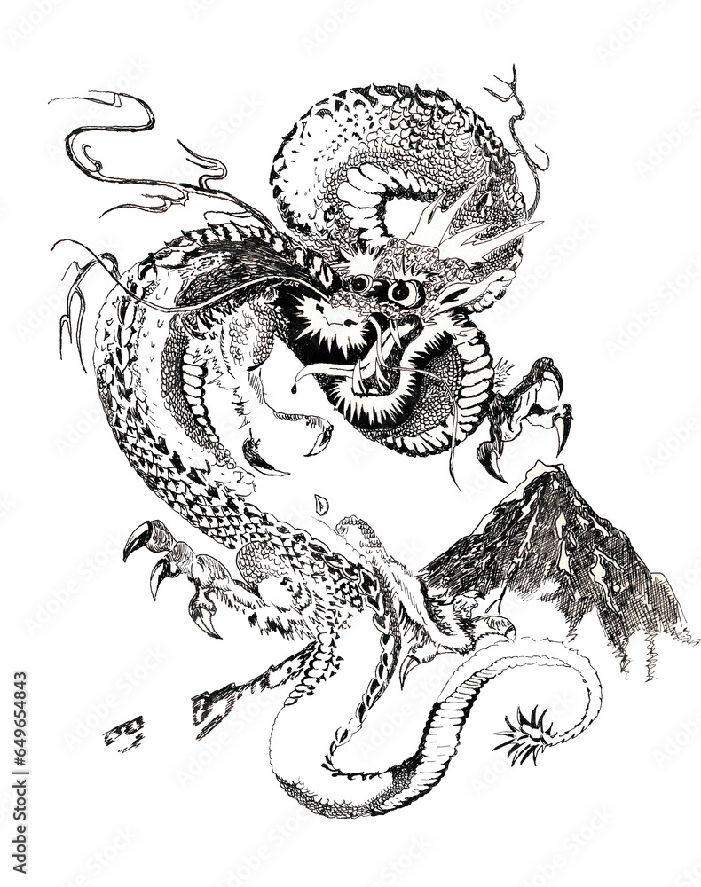 Isolated image of a black-and-white dragon. Traditional symbol of the ...