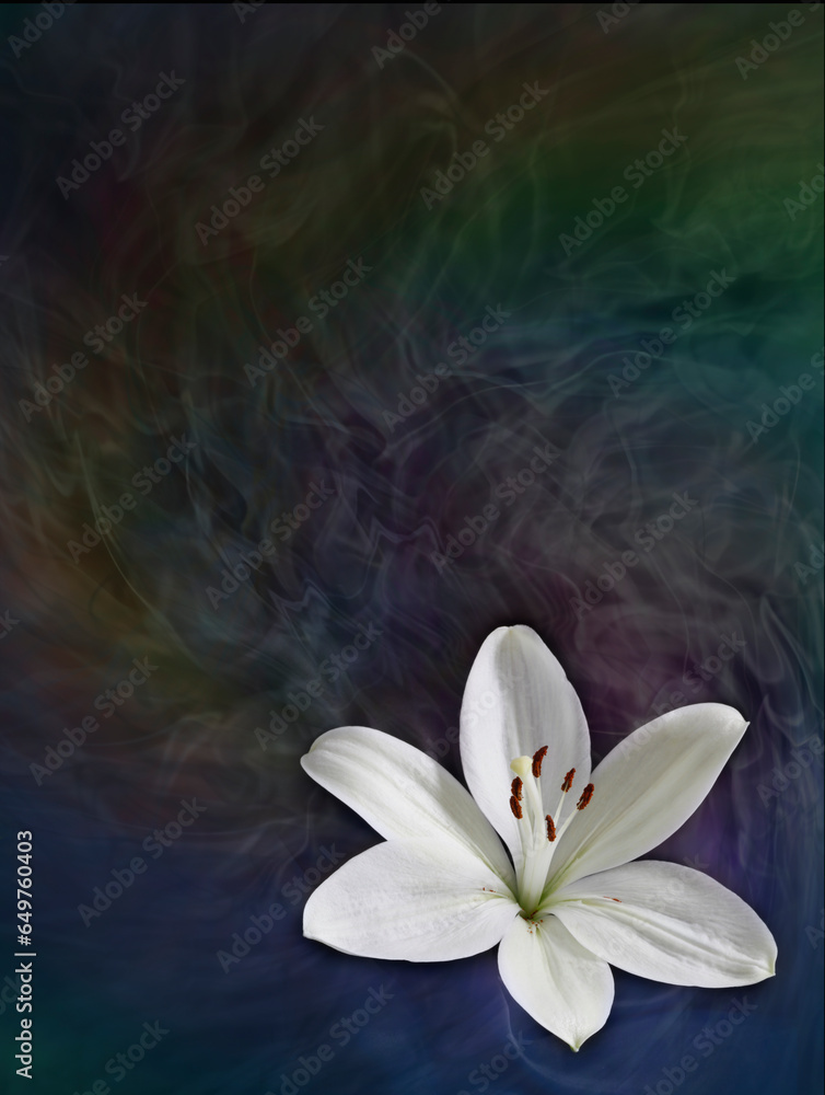 Celebrate Life Funeral Wake Order of Service Lily Background Template ...