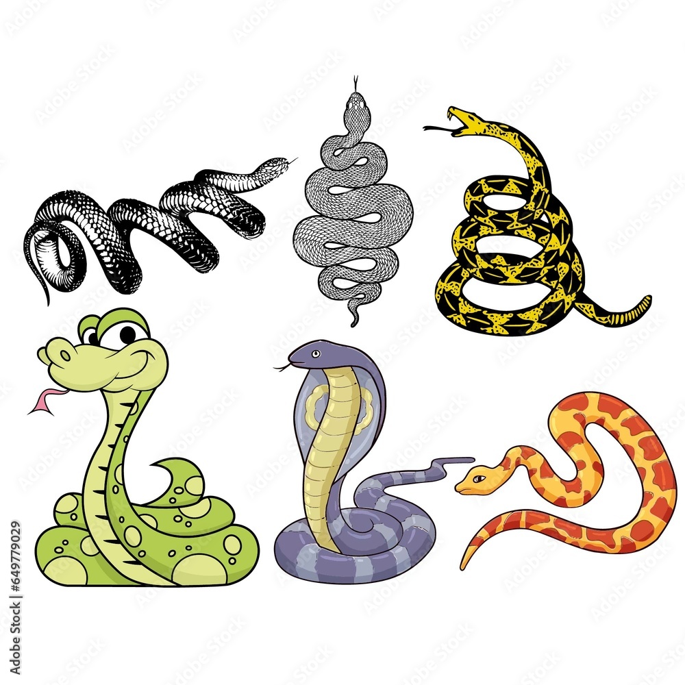 Snakes | Cute Snakes | Cartoon Snakes | Stock Illustration | Adobe Stock