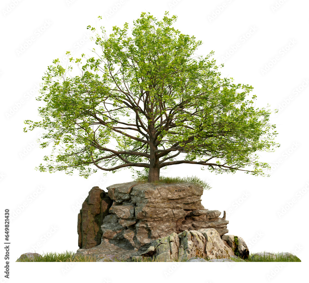 tree on the big rock stone or mountain rocks and meadows PNG ...