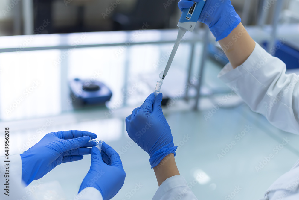 Research scientist using micro pipette for test analysis in modern ...
