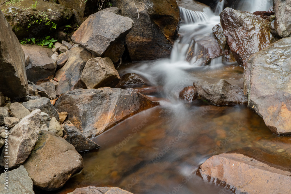 Tropical river flow on Semarang Central Java with green leaf and river ...
