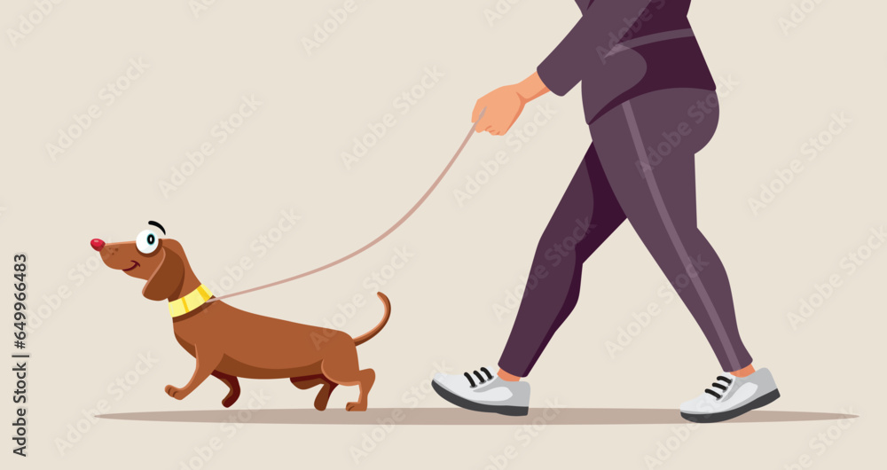 Active Person Walking the Dog on a Leash Vector Cartoon Illustration ...