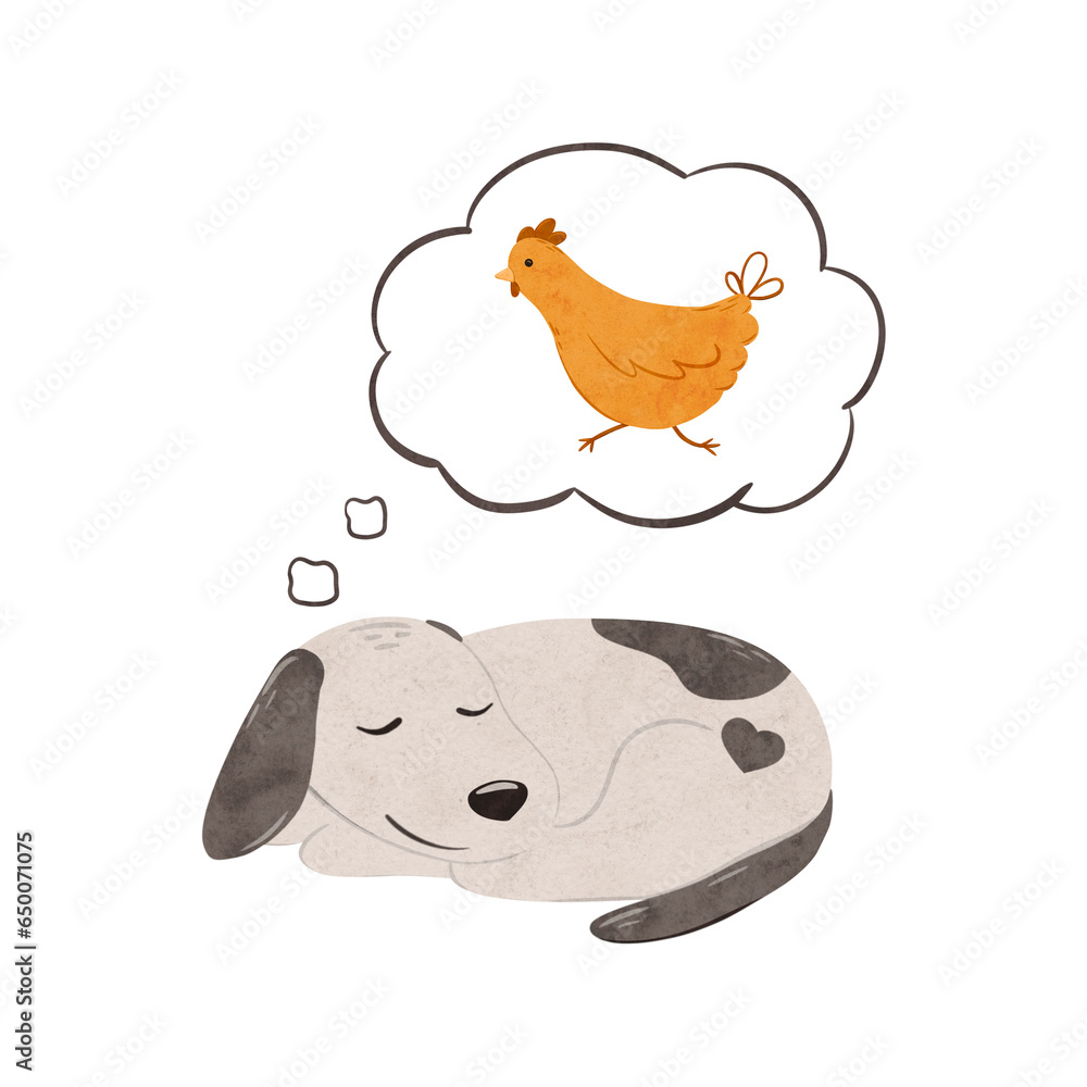 Cute puppy Stabyhoun sleeping and thinking about the chicken. Digital ...