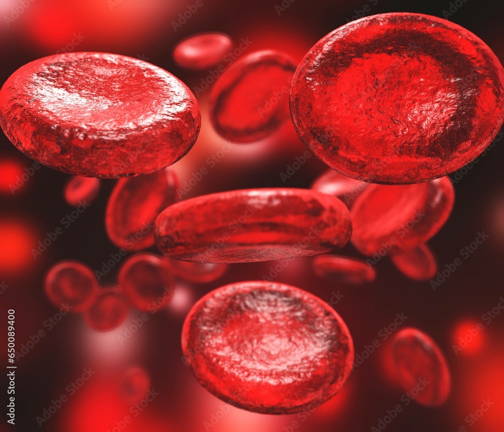 Red blood cells (RBCs), red cells, red blood corpuscles , haematids ...