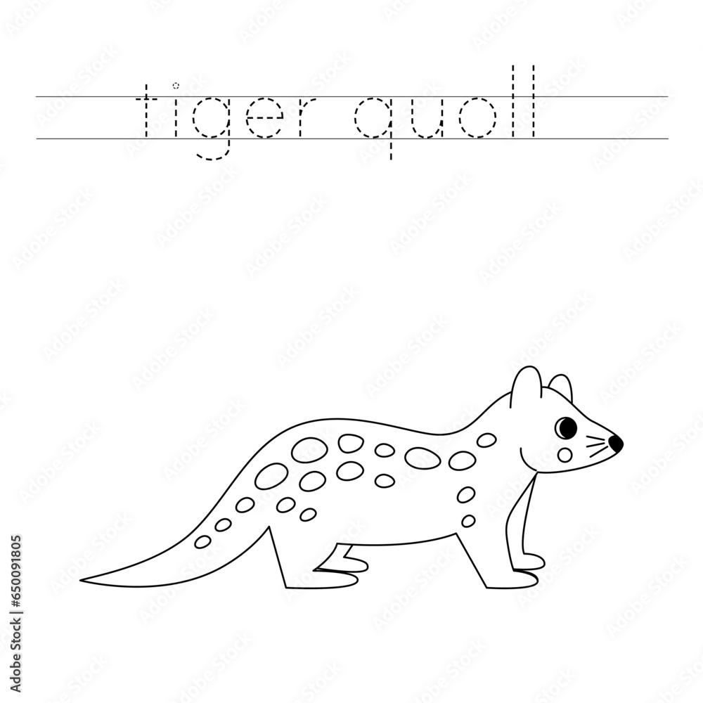 Trace the letters and color cartoon tiger quoll. Handwriting practice ...