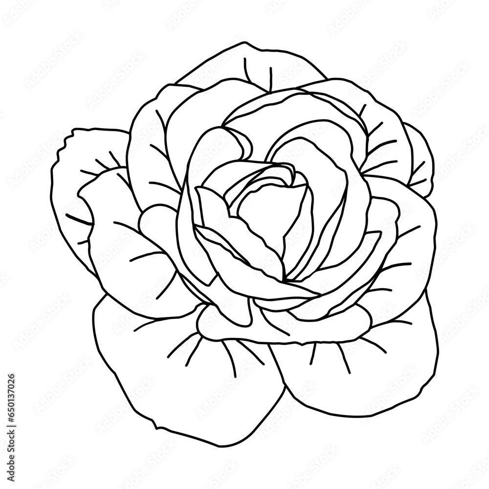 Roses head in line art for packaging, social media post, cover, banner ...