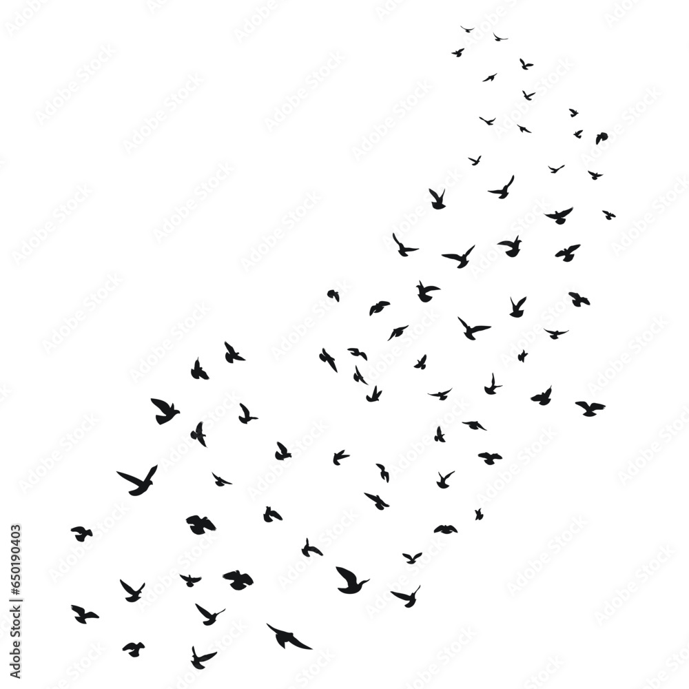 Sketch drawing of a silhouette of a flock of birds flying forward ...