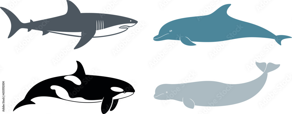 Killer Whale logo. Isolated killer whale on white background Stock ...