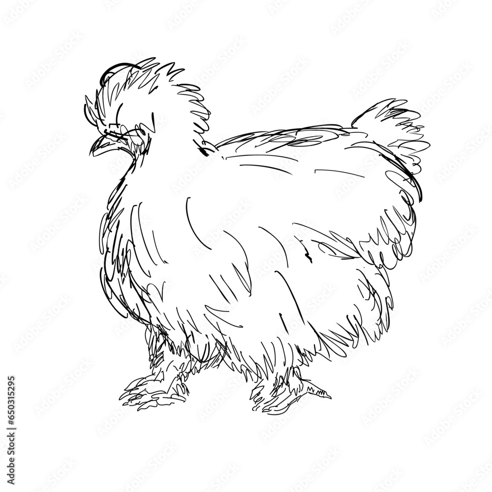 Drawing sketch style illustration of a Silkie, Silky or Chinese silk ...