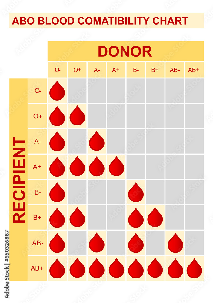 ABO Blood Compatibility Chart. Blood Donor and recipient Chart ...