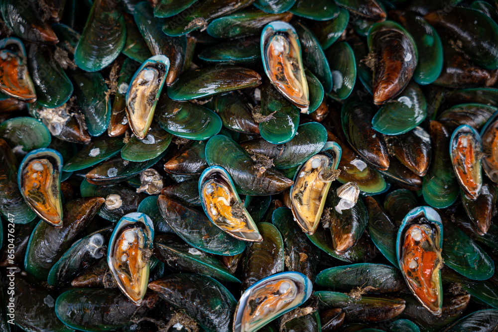 Asian green mussel was displayed and sale in Thailand seafood market ...