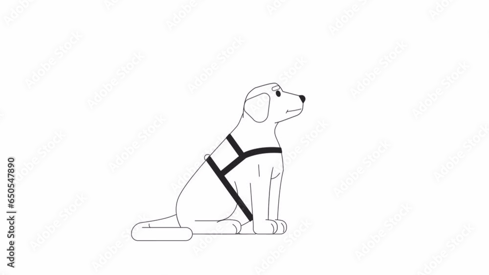 Guide dog labrador head up bw 2D character animation. Sitting puppy ...