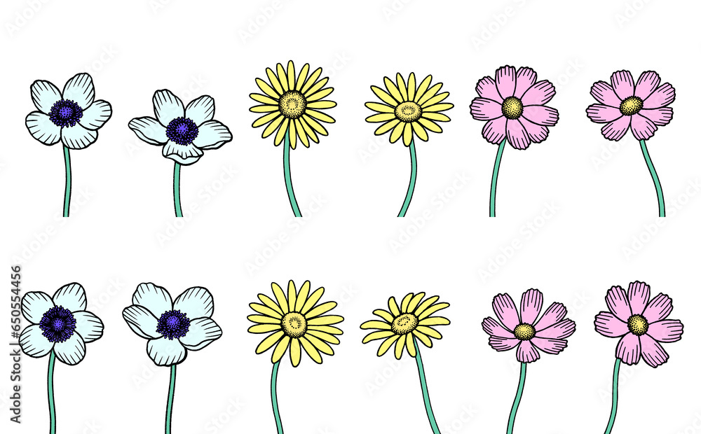 Colorful hand-drawn flower illustration collection isolated on ...