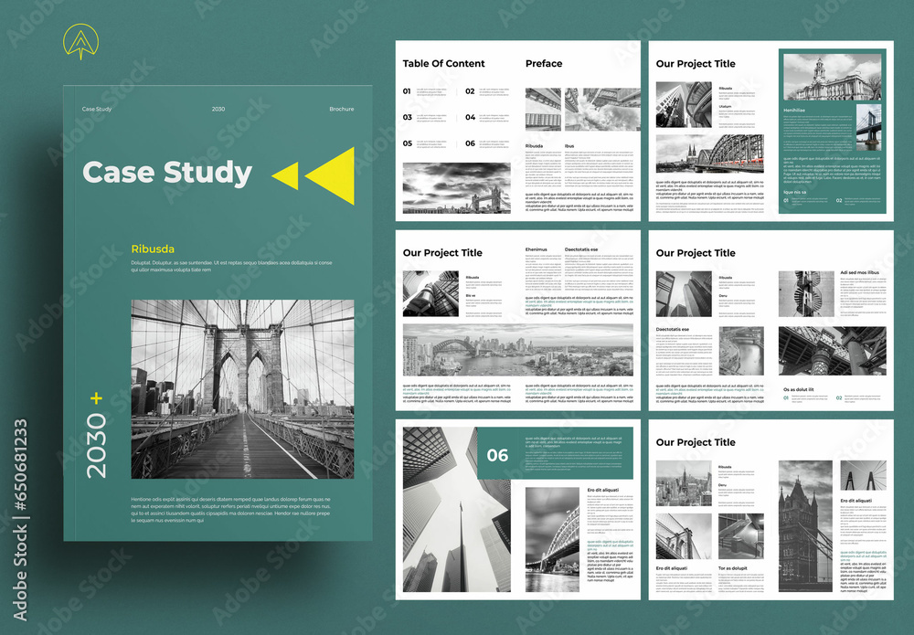 Case Study Brochure Template Stock Template | Adobe Stock