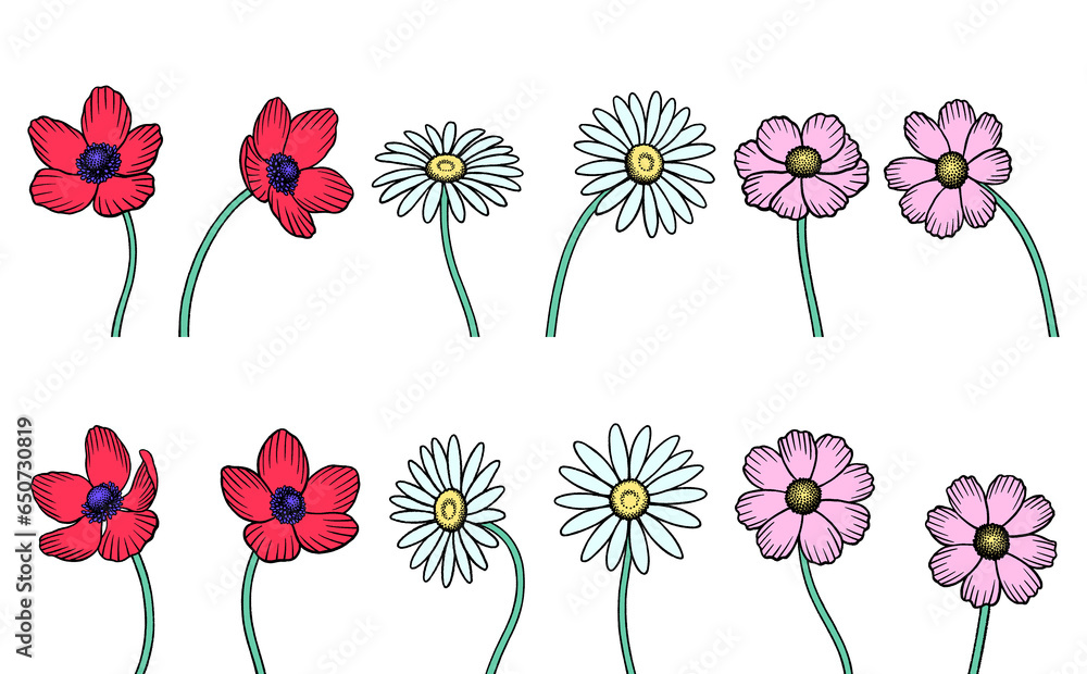 Colorful hand-drawn flower illustration collection isolated on ...