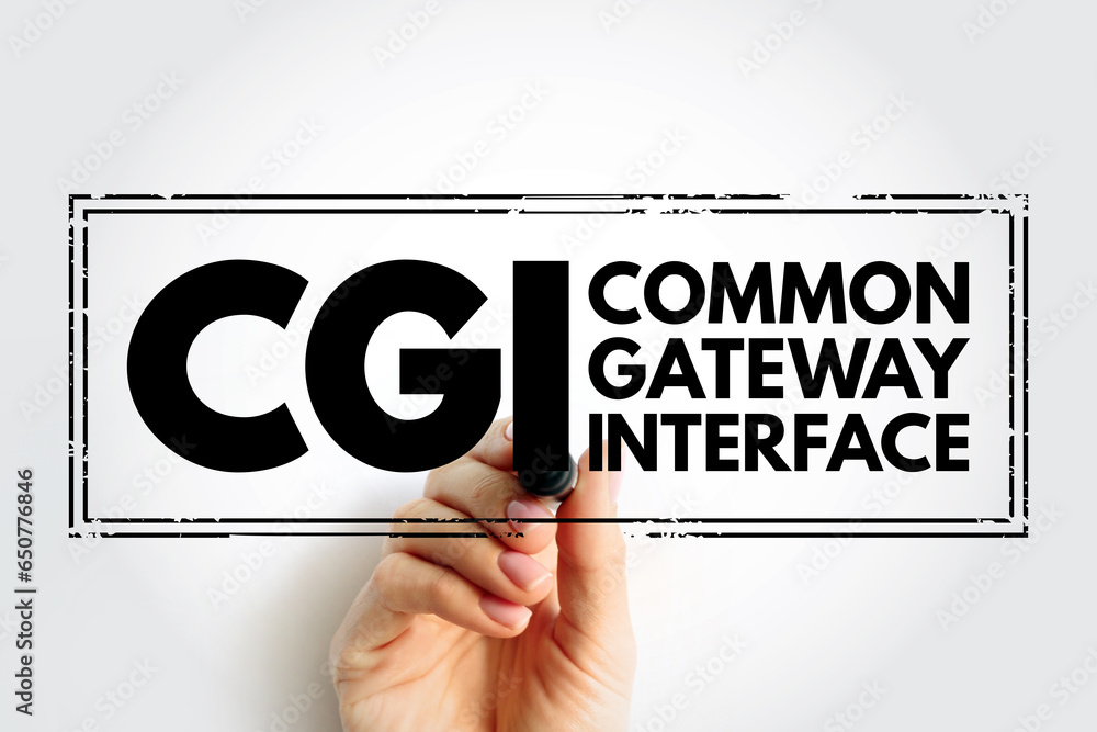 CGI Common Gateway Interface - provides the middleware between www ...