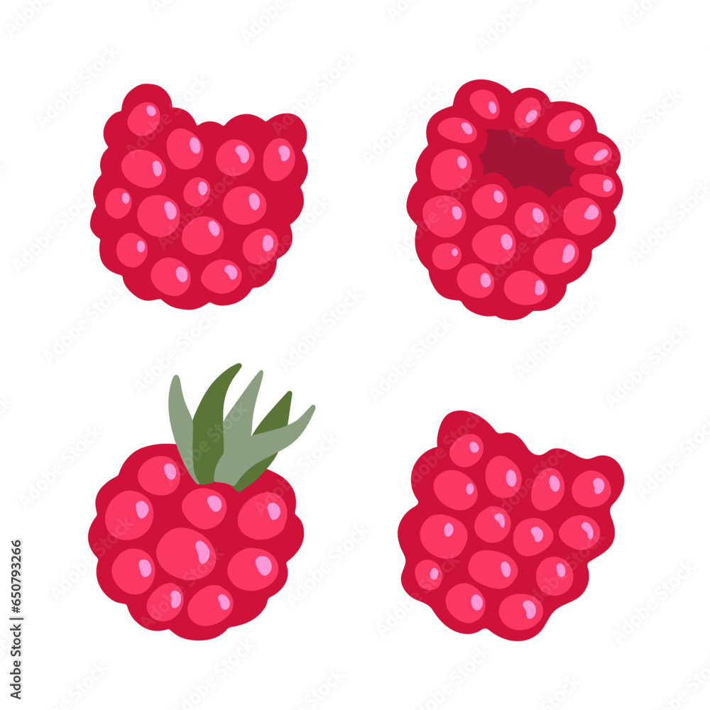 Raspberry vector set. Sweet red berries isolated on white background ...