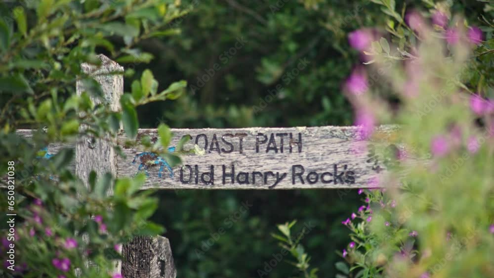 Wooden countryside signpost to Old Harrys Rocks Coast Path in Dorset ...