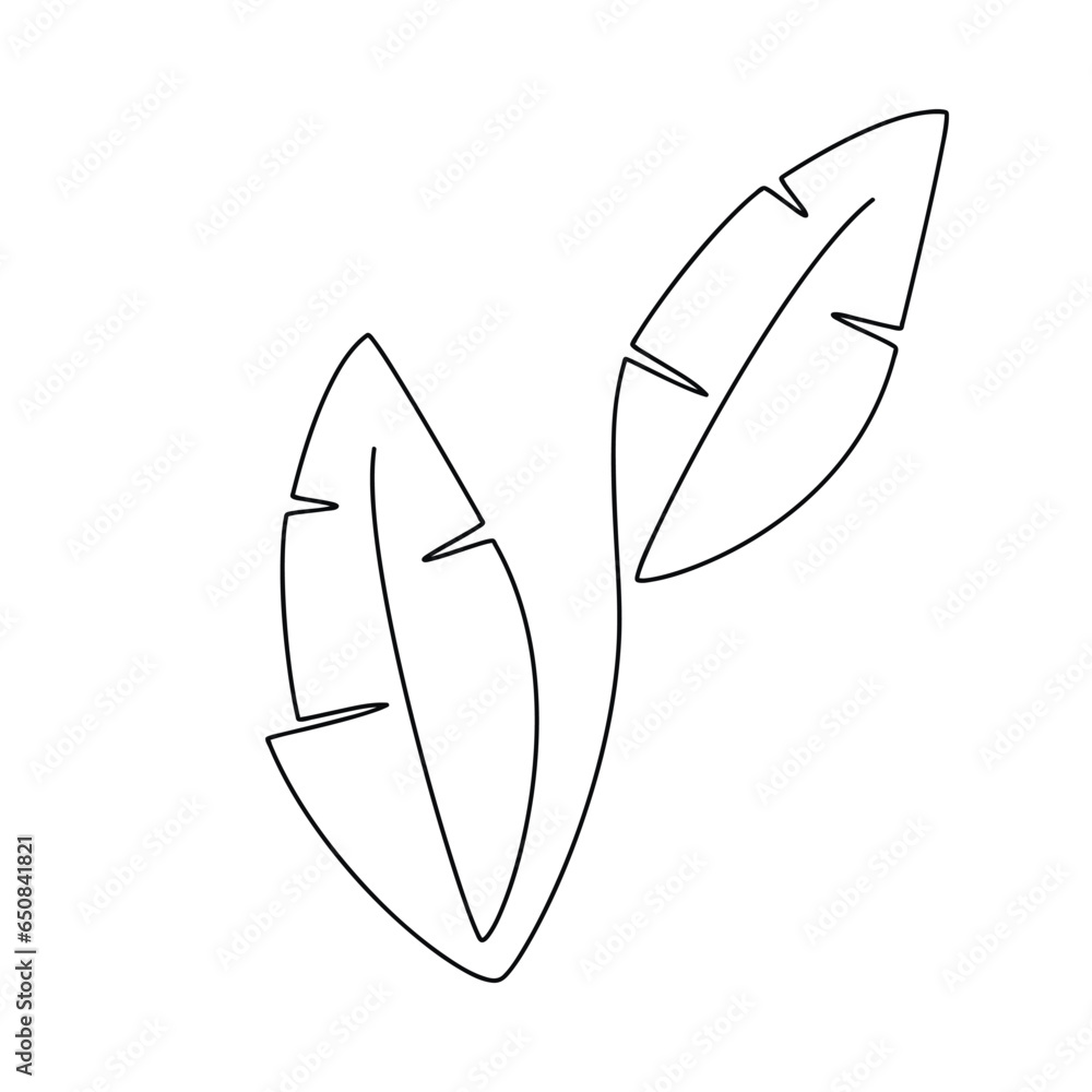 Banana leaf one line continuous drawing vector. Botanical outline ...