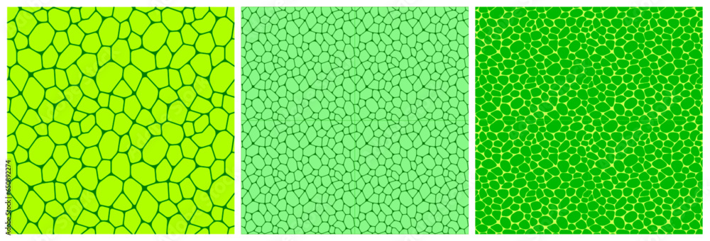 Green cells seamless pattern set. Leaf structure vector illustration ...