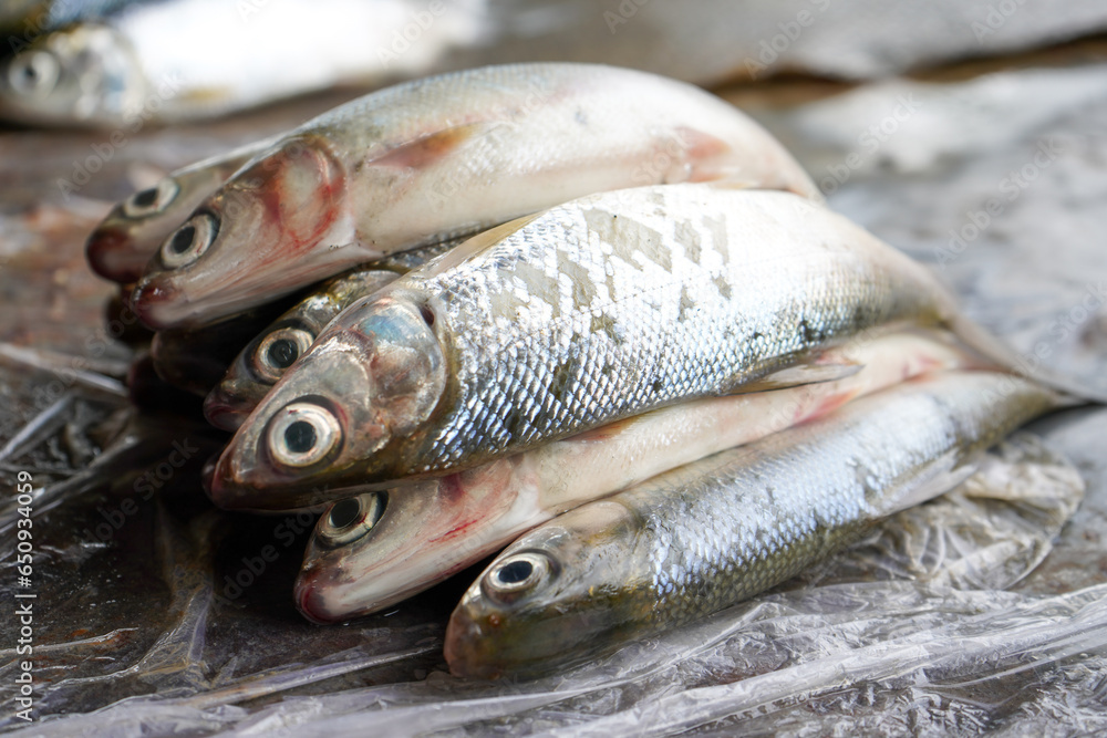 Freshwater fish are sold in the market. One example is milkfish and ...
