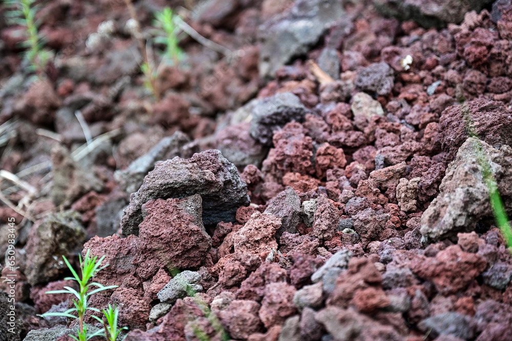 volcanic rock, volcanite of the extinct volcano Vulcanul Racos, volcano ...