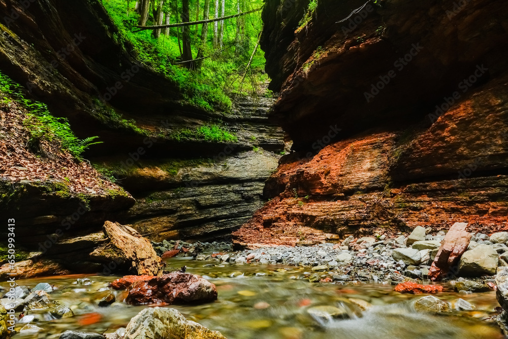 entry to a narrow canyon with layers of red rocks and a brook under a ...