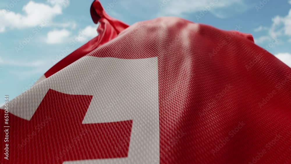 Wavy flag of Tonga blowing in the wind in slow motion. Waving official ...