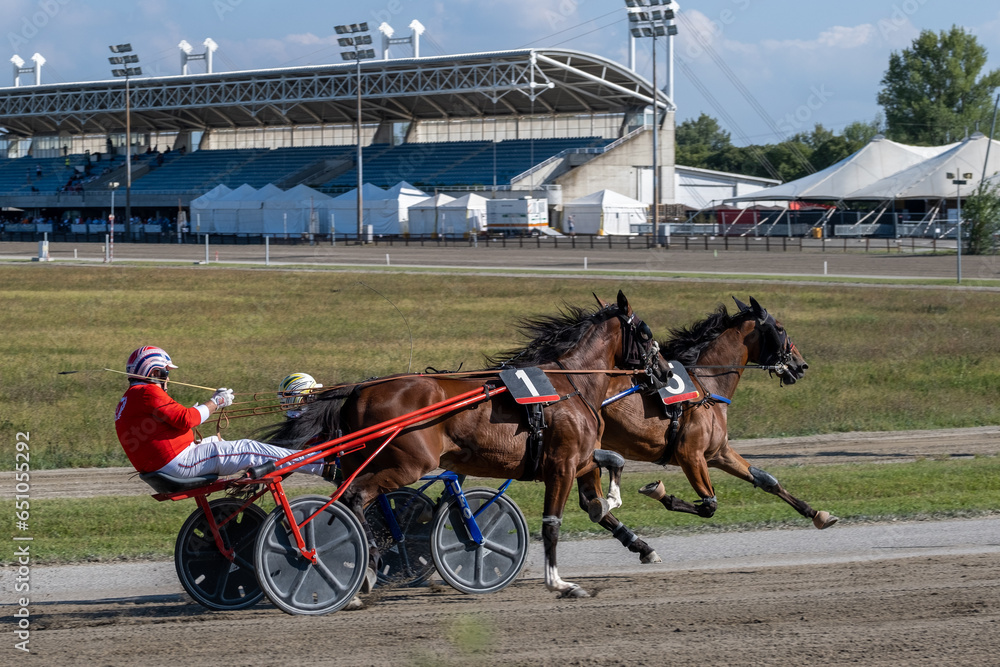 Racing horses trots and rider on a track of stadium. Competitions for ...