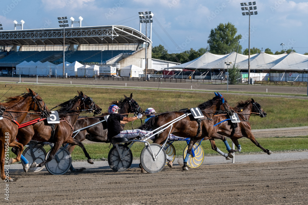 Racing horses trots and rider on a track of stadium. Competitions for ...