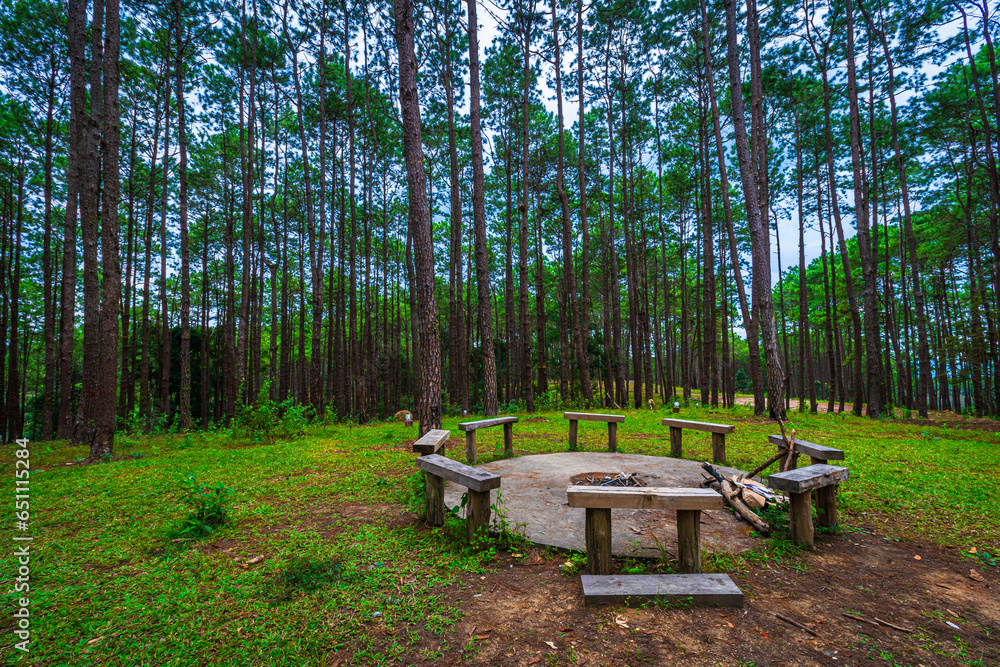 Foto de Seating group with benches made of campfire larch forest with ...