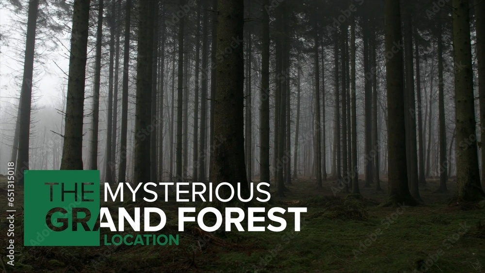 Mysterious clean lower third text animation intro reveal Stock Template ...