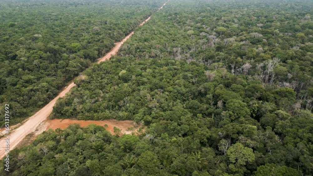 Drone footage of the famous BR-319 in dry season, a dirt road through ...